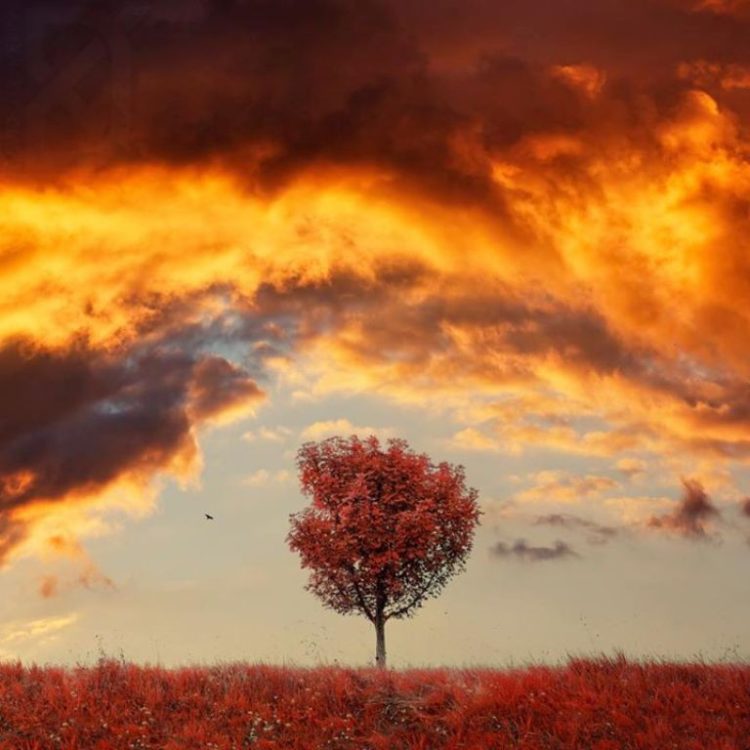 10 Fotografer Landscape Terhandal di Dunia - Foto.co.id